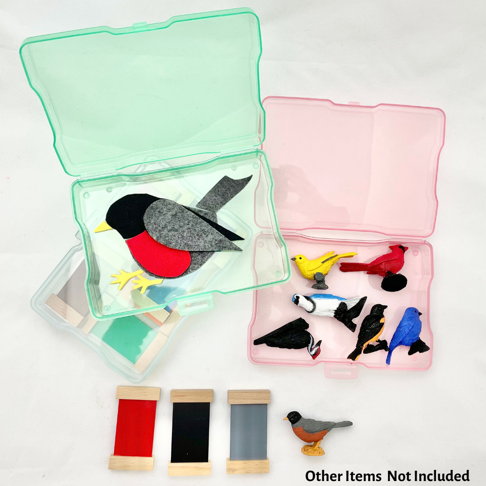 Backyard Birds TOOB – Mini Bird Figurines for Kids, Boys and Girls ...