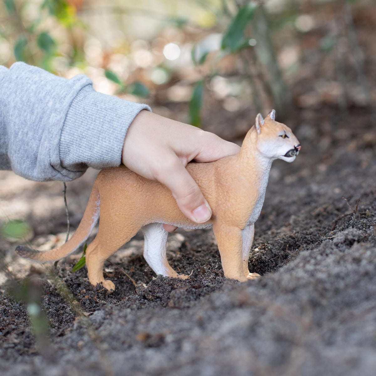 Florida Panther Toy | Wildlife Animal Toys | Safari Ltd. | Safari Ltd®