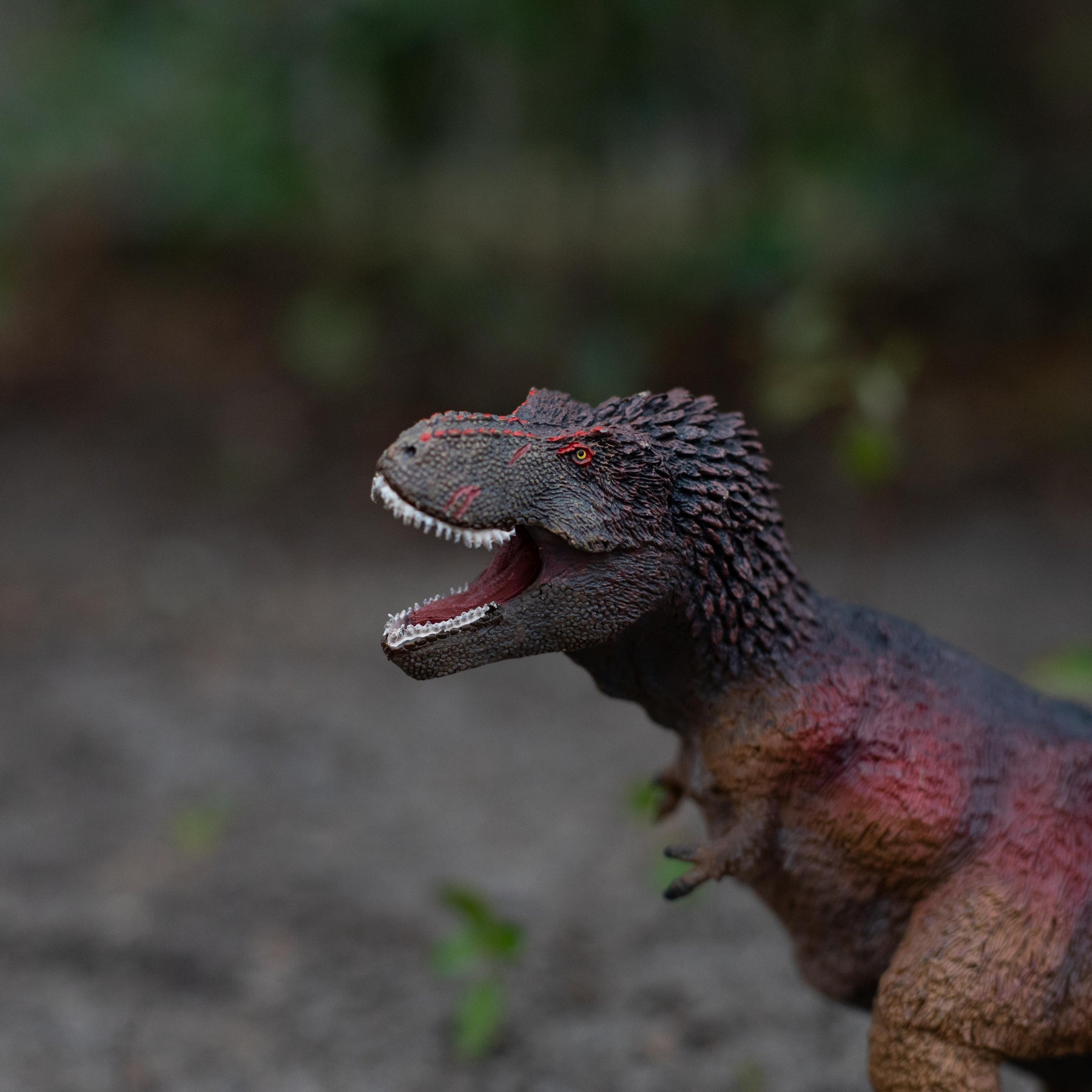 Feathered T-Rex Toy | Safari Ltd®