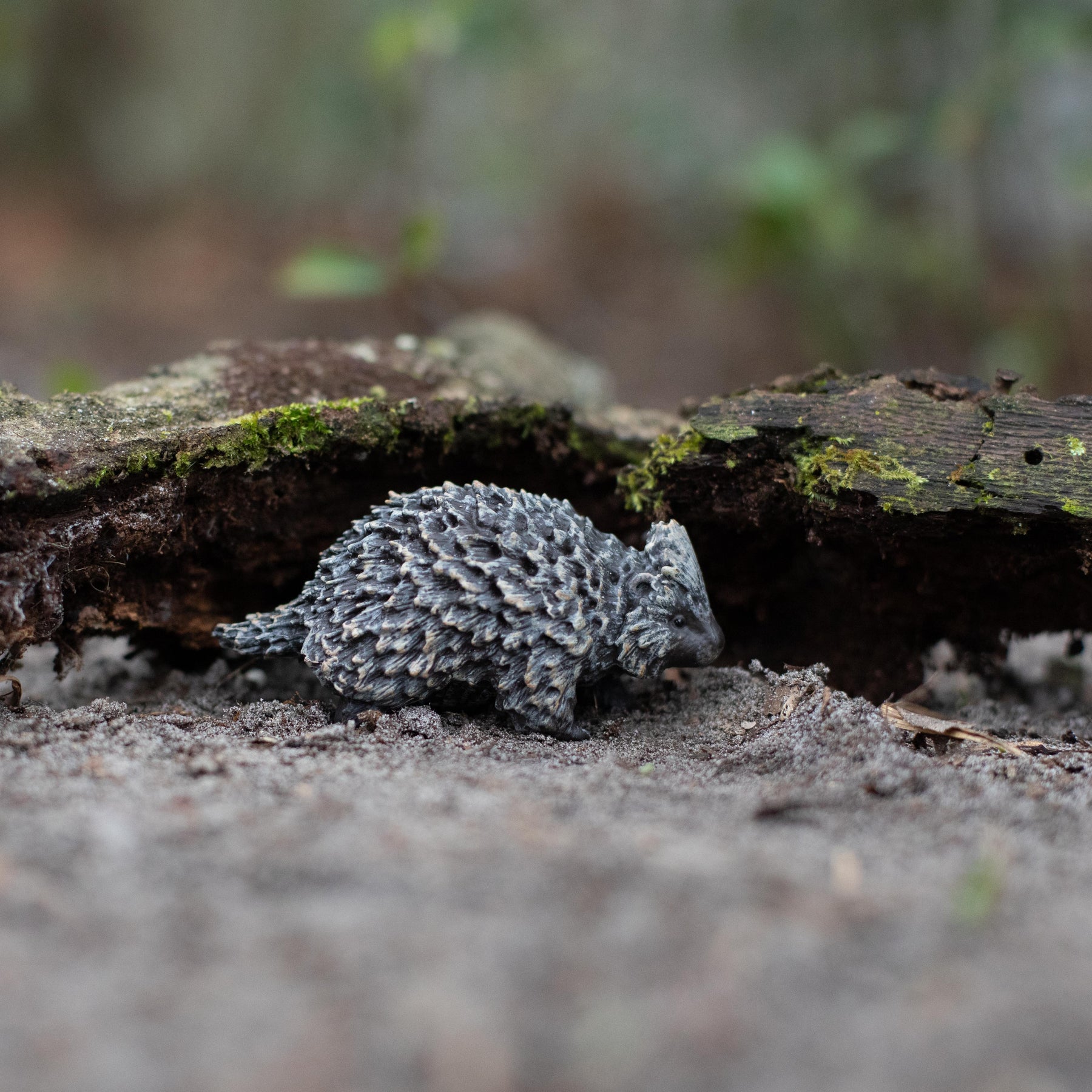 Porcupine Toy | Wildlife Animal Toys | Safari Ltd. | Safari Ltd®