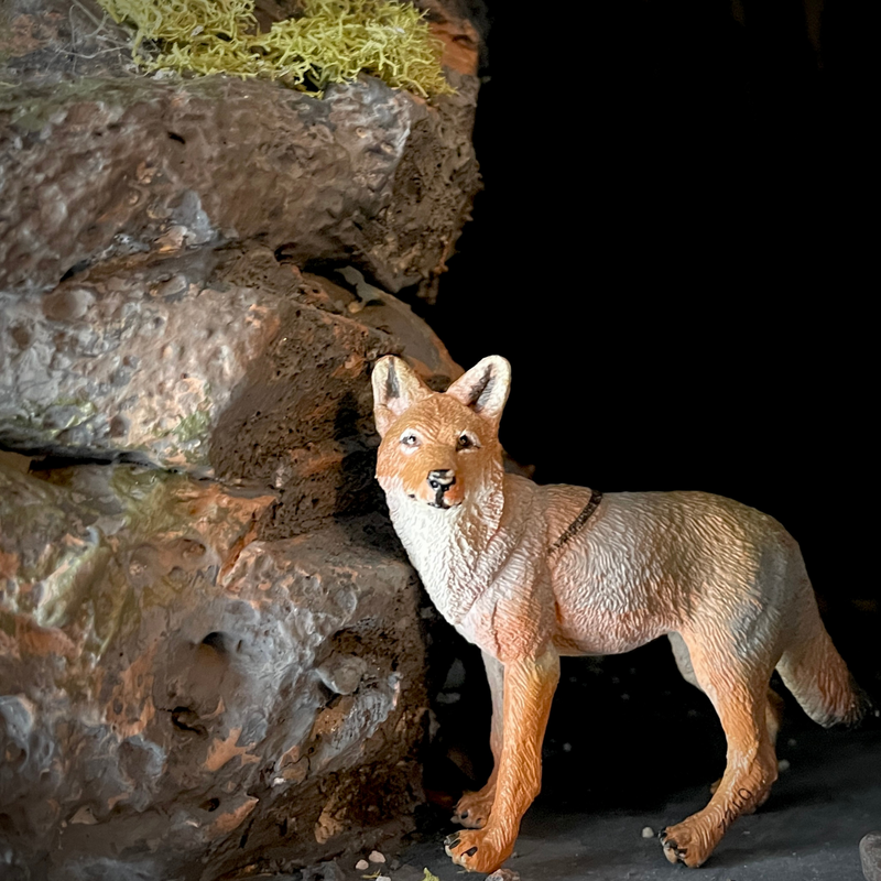 Coyote Toy | Safari Ltd®
