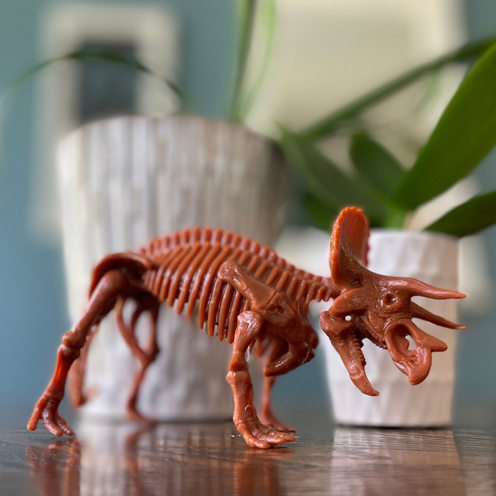 Dr. Steve Hunters GEOWorld Dino Dig Triceratops Excavation Kit - 12 ...