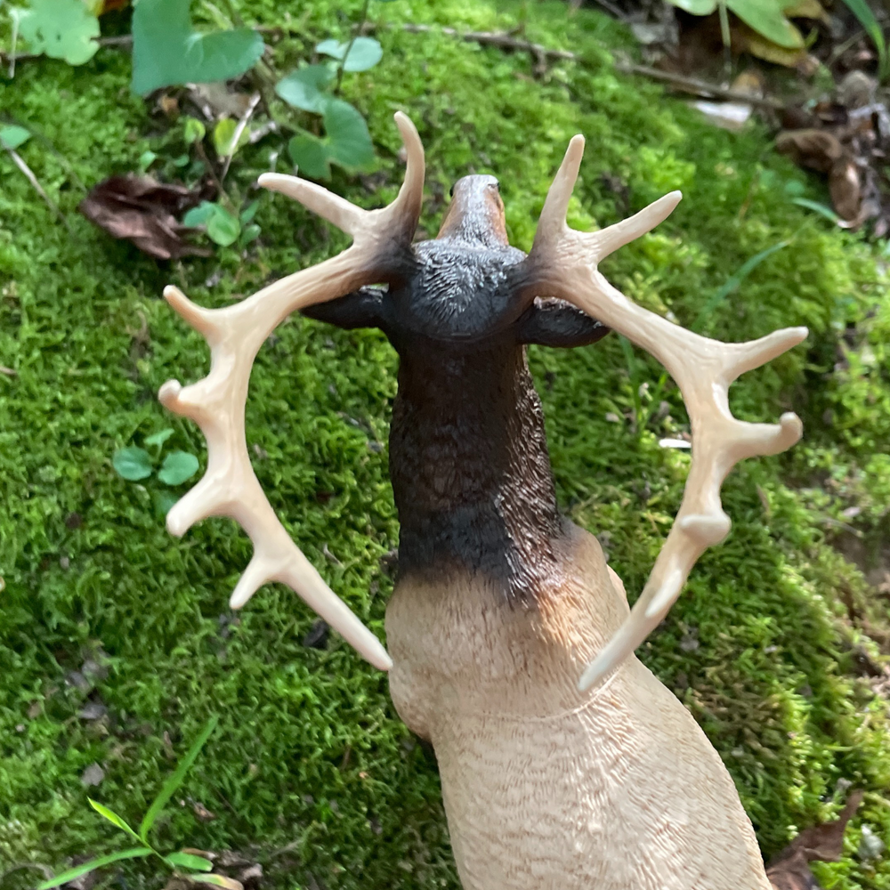 Elk Figure – Realistic Animal Toy for Kids, Boys and Girls | Safari Ltd®