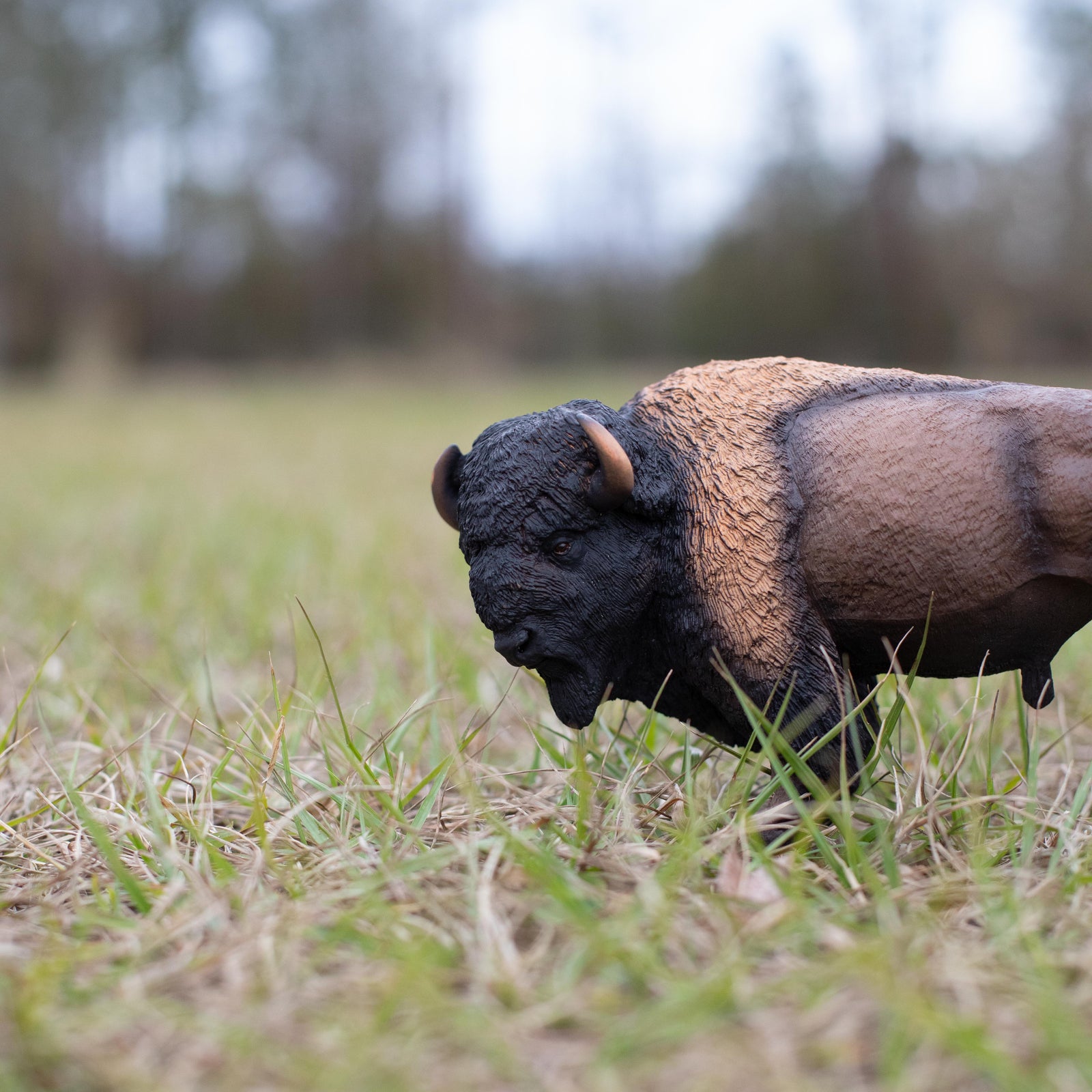 Bison Toy | Safari Ltd®