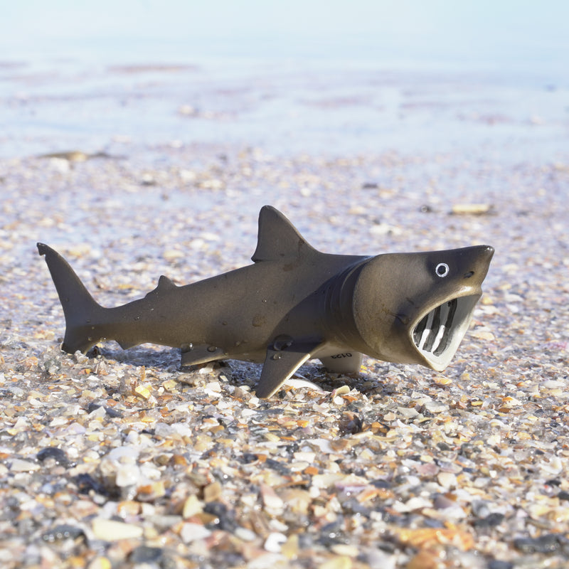 Basking Shark Toy | Safari Ltd®