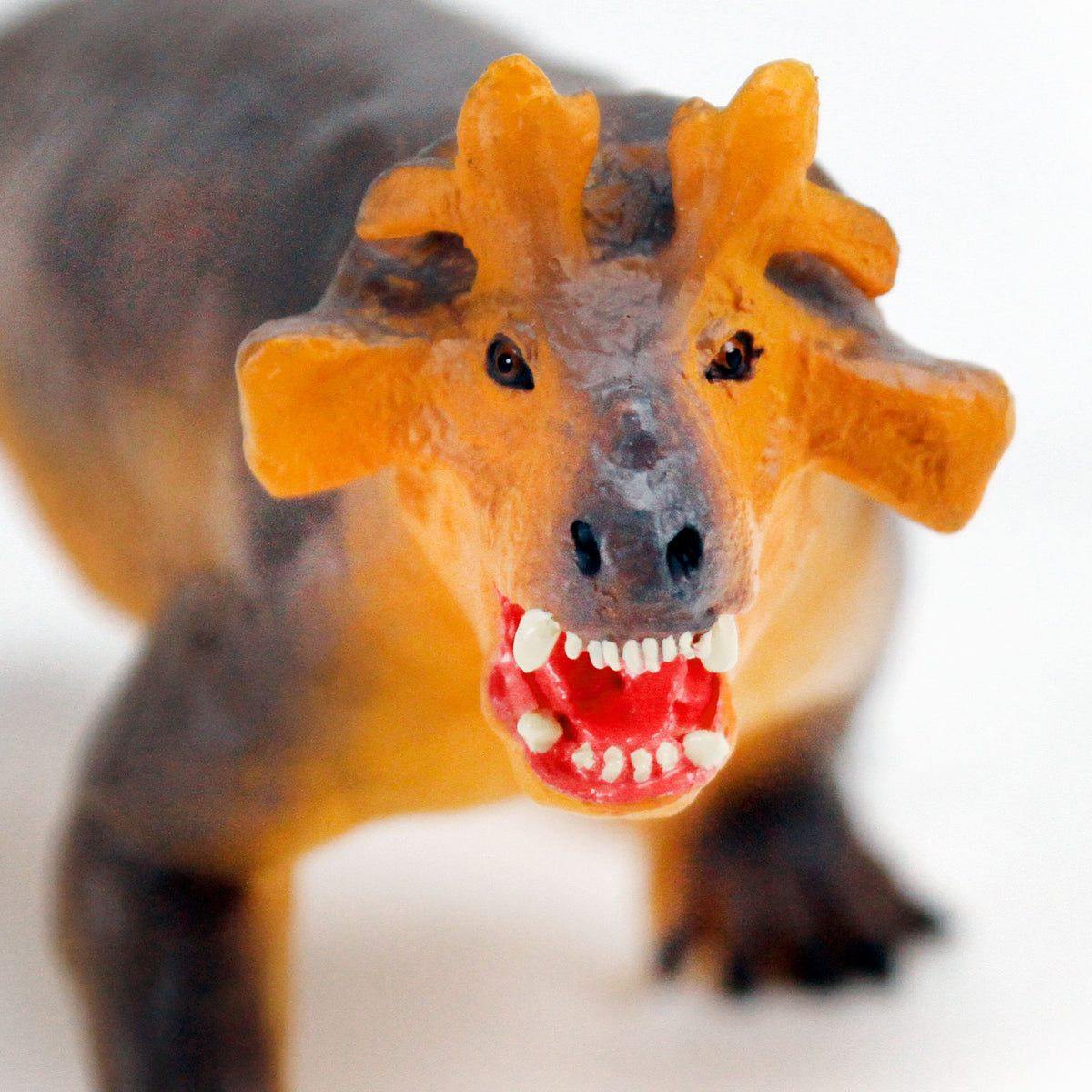 Estemmenosuchus Toy Figure – Prehistoric Animal Model | Safari Ltd ...