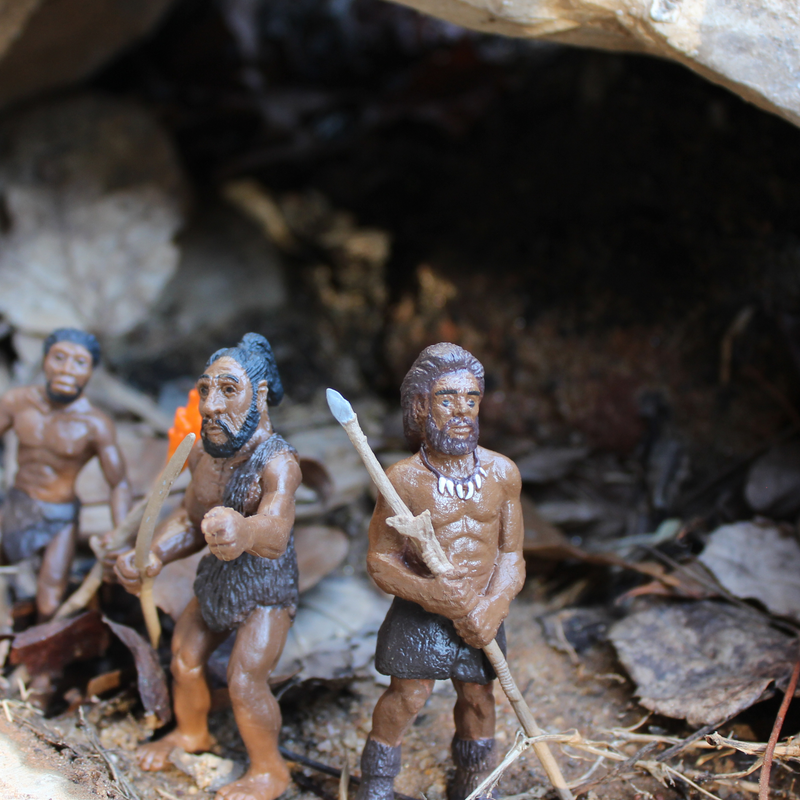 Evolution of Man | Montessori Toys | Safari Ltd. | Safari Ltd®