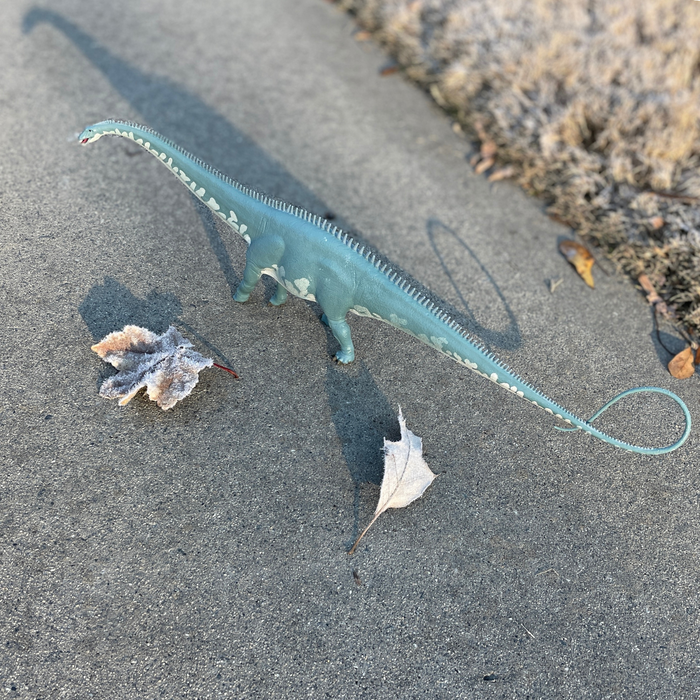 Diplodocus Toy | Safari Ltd®