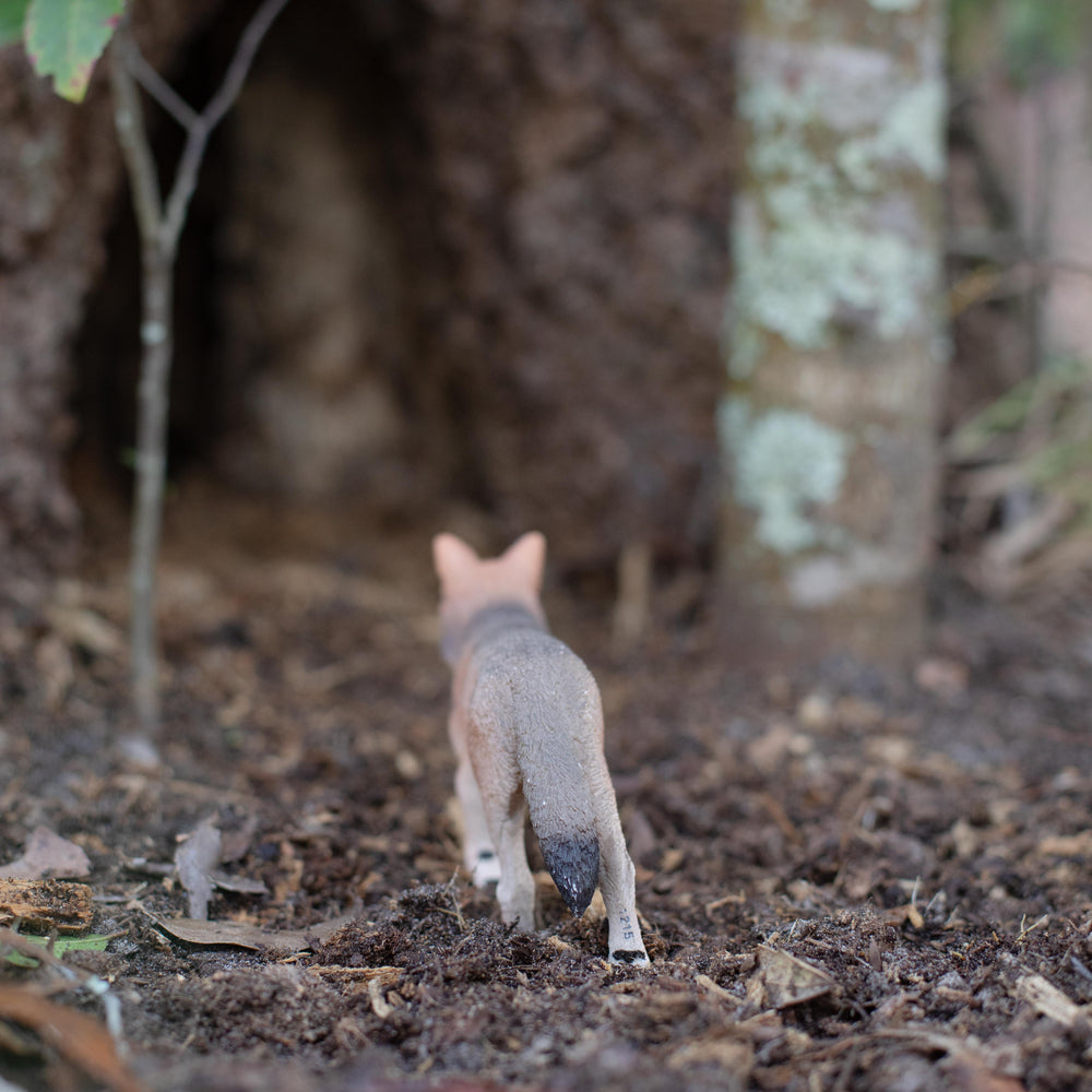 Coyote Toy | Wildlife Animal Toys | Safari Ltd. | Safari Ltd®