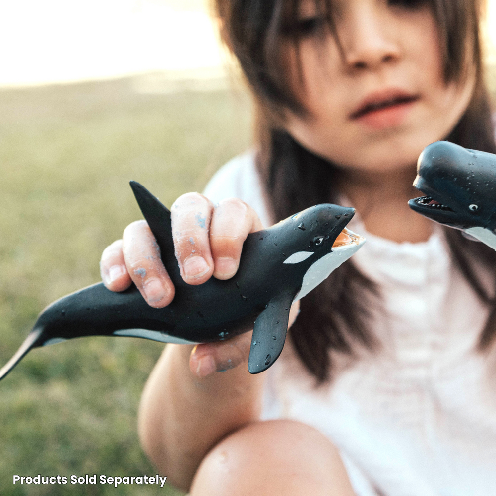 Killer Whale Toy | Safari Ltd®