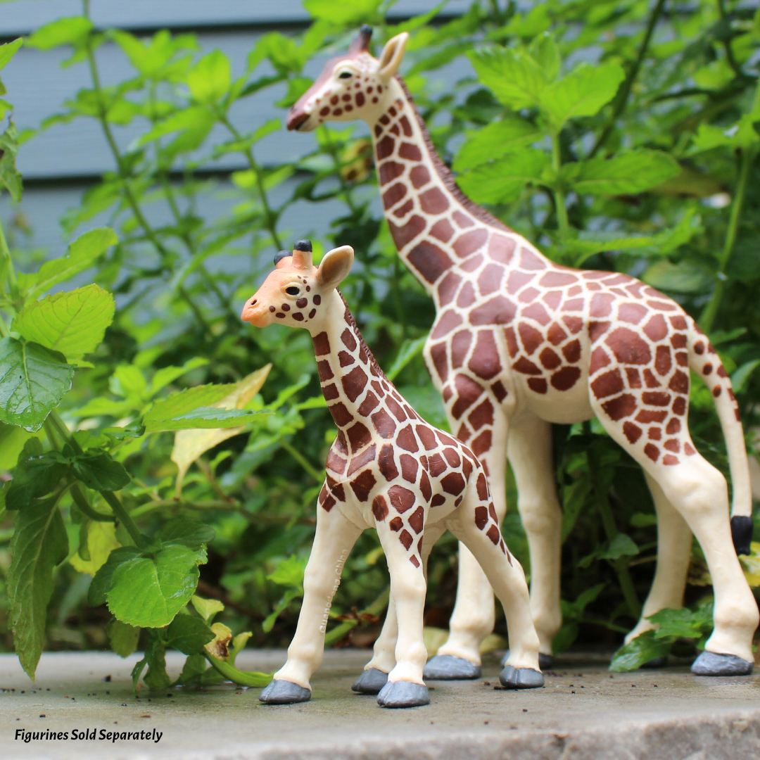 Baby Giraffe Toy Figure – Realistic Wildlife Animal | Safari Ltd ...