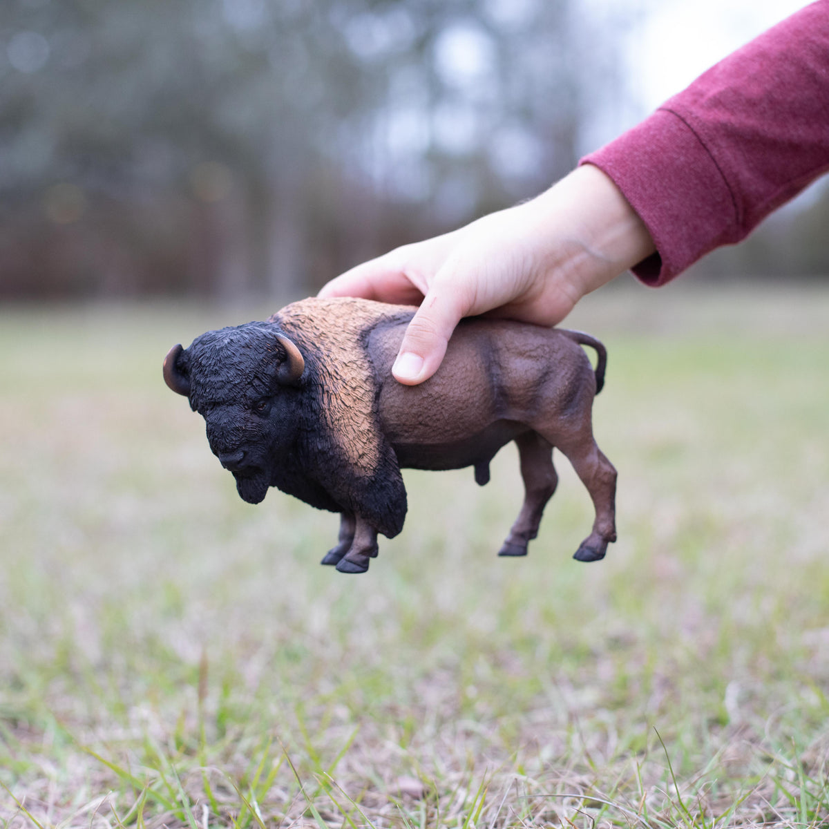 Bison Toy | Safari Ltd®