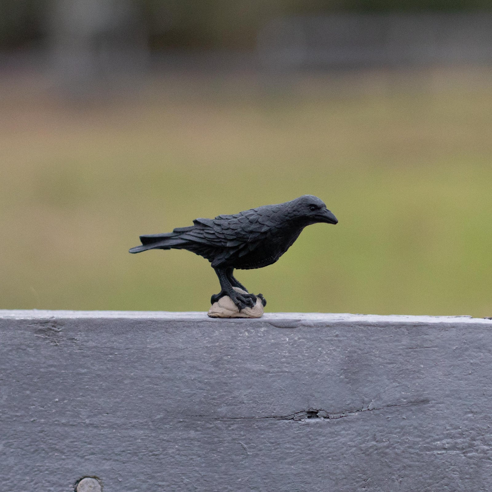 Raven Toy | Safari Ltd®