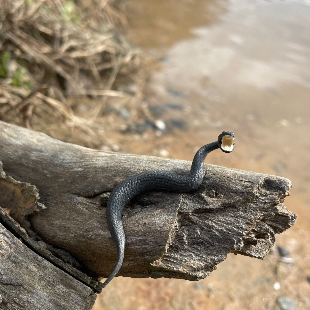 River TOOB® | Safari Ltd®