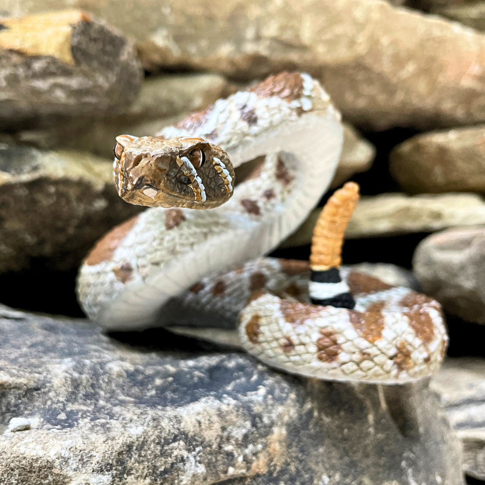 Western Diamondback Rattlesnake Toy | Safari Ltd®