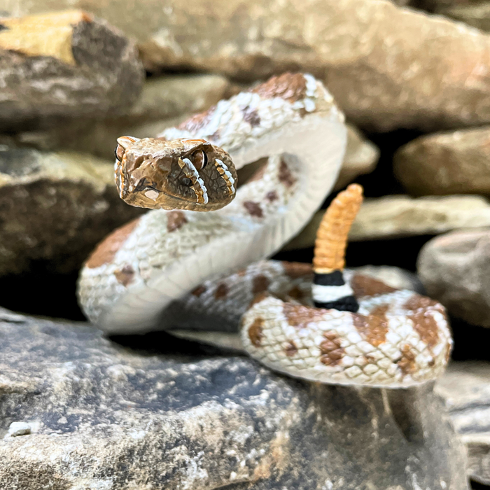 Western Diamondback Rattlesnake Toy | Incredible Creatures | Safari Ltd®