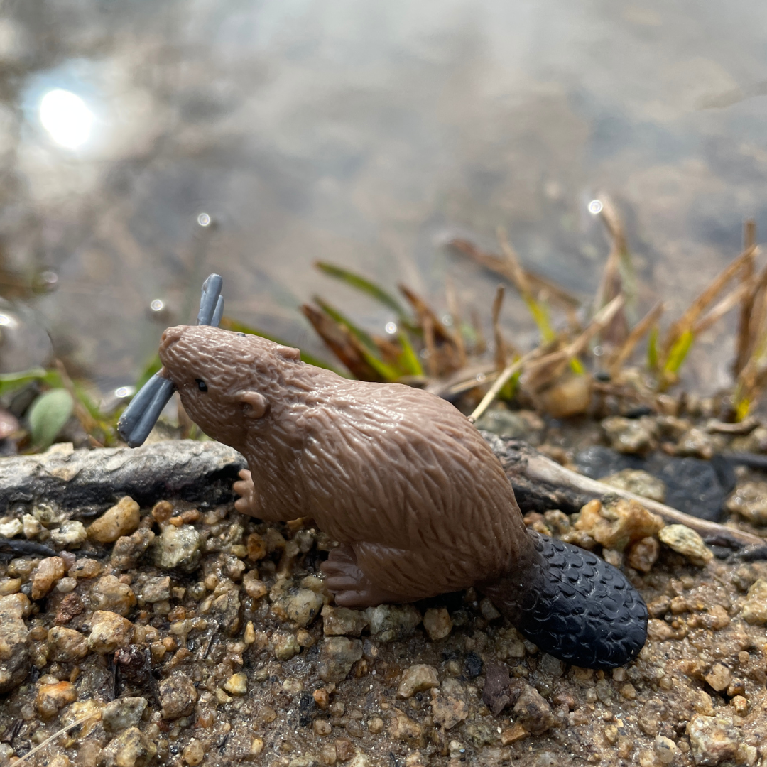 River Animal Toys TOOB® | Safari Ltd®