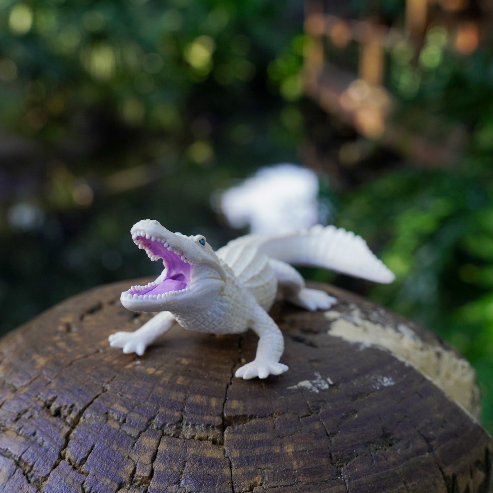 White Alligator Toy | Safari Ltd®
