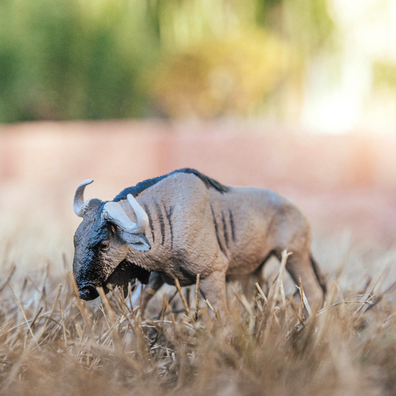 Wildebeest Toy – Realistic Blue Wildebeest Model from Safari Ltd ...