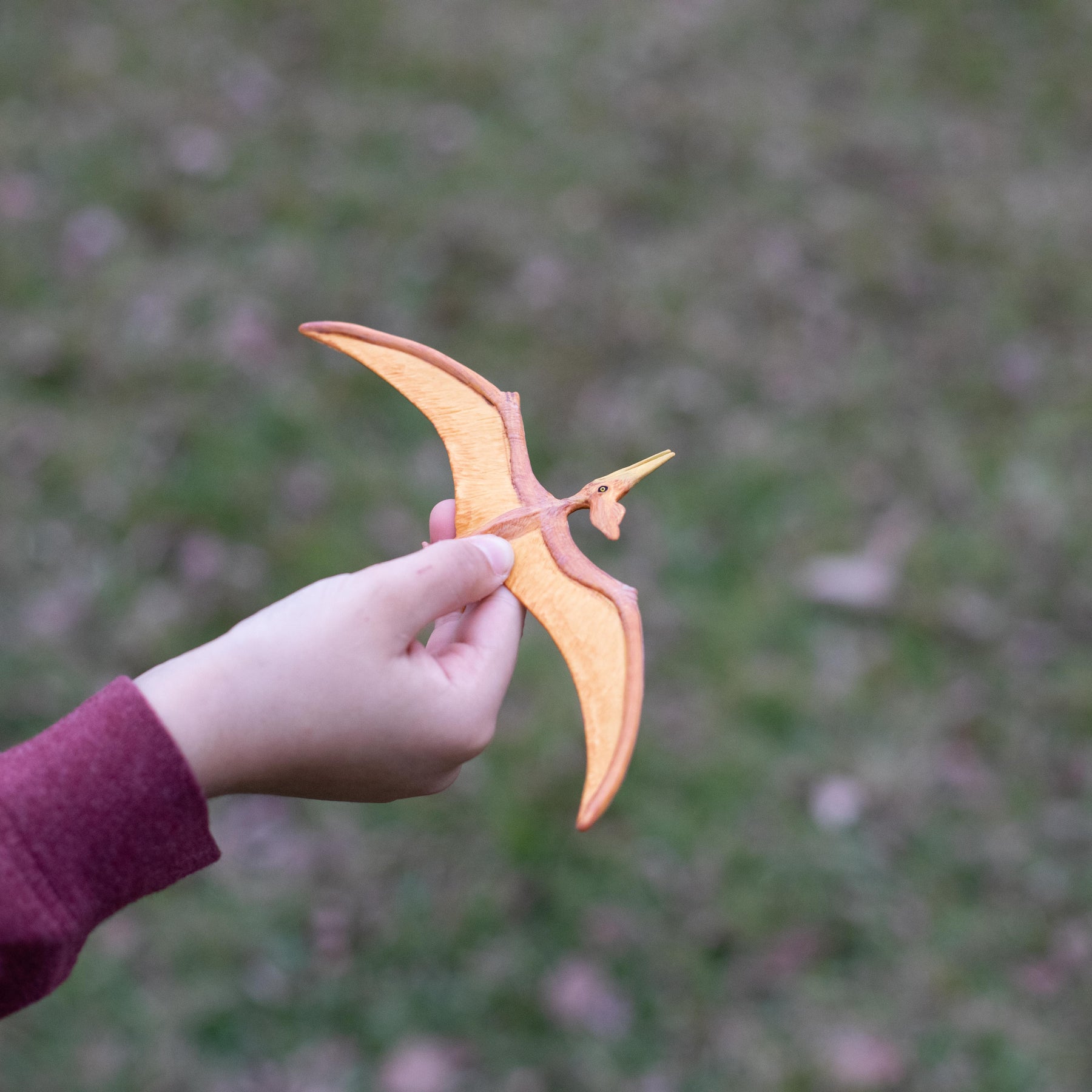 Pteranodon Toy | Dinosaur Toys | Safari Ltd. | Safari Ltd®