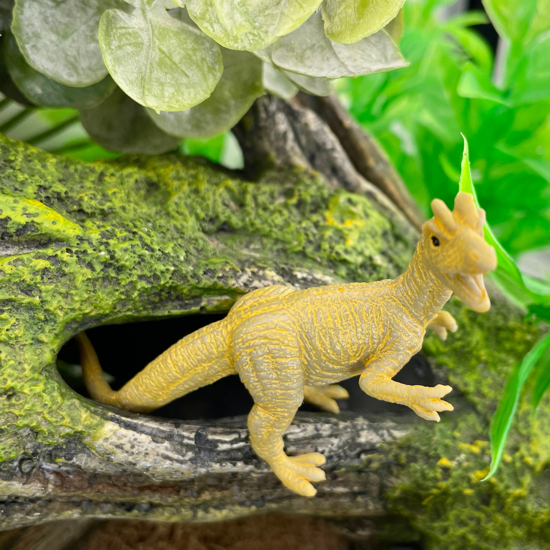 Carnivorous Dinosaur Toys TOOB® | Safari Ltd®