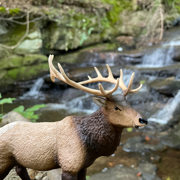 Elk Figure – Realistic Animal Toy for Kids, Boys and Girls | Safari Ltd®