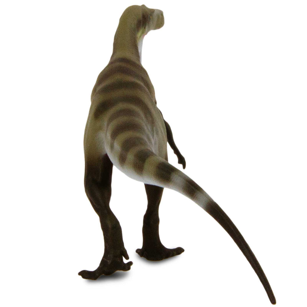 Megalosaurus Toy Figure | Safari Ltd®