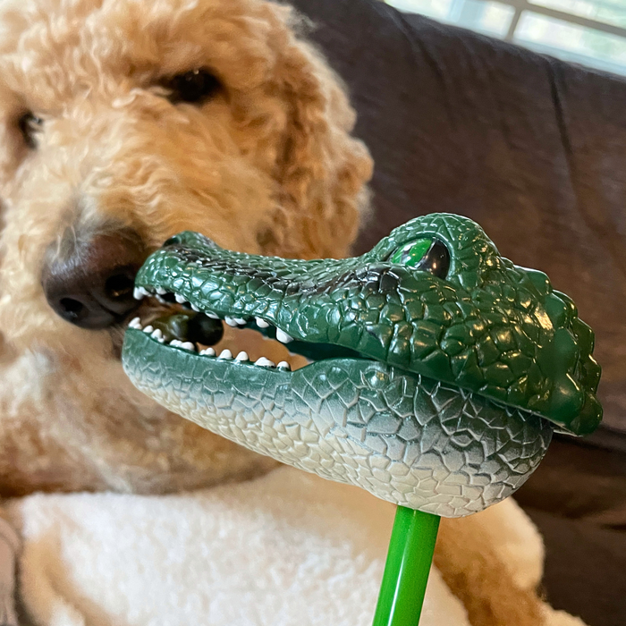 Alligator Snapper | Safari Ltd®