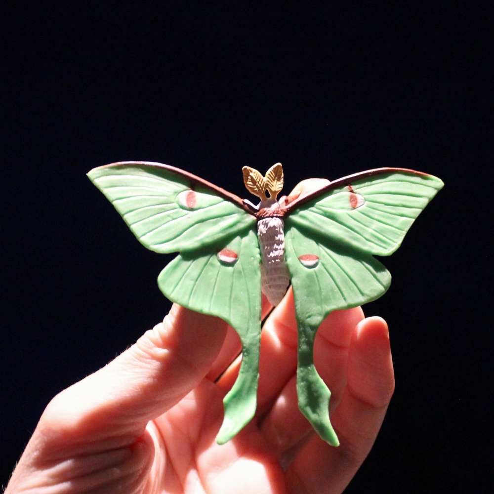Life Cycle Of A Luna Moth Science Toy | Safari Ltd® | Safari Ltd®