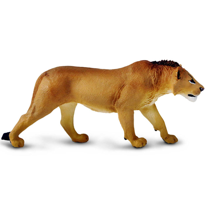 Adolescent Male Lion Toy Figure | Safari Ltd®