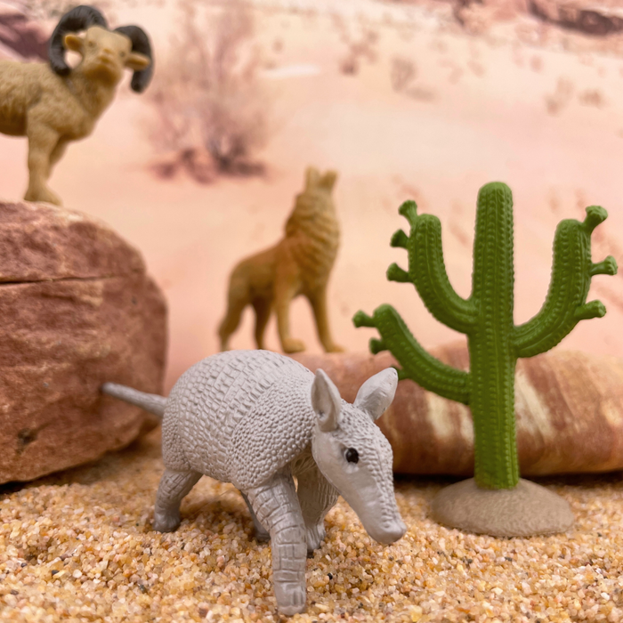 Desert TOOB® – 11 Desert Animal Figurines by Safari Ltd® | Safari Ltd®