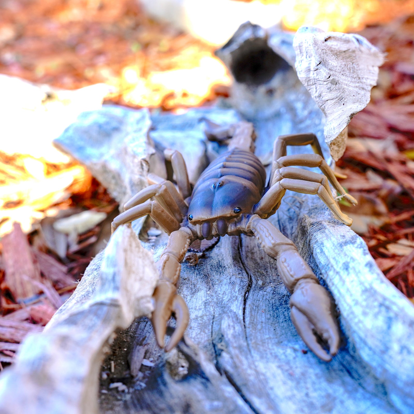 Scorpion Toy | Safari Ltd® | Safari Ltd®