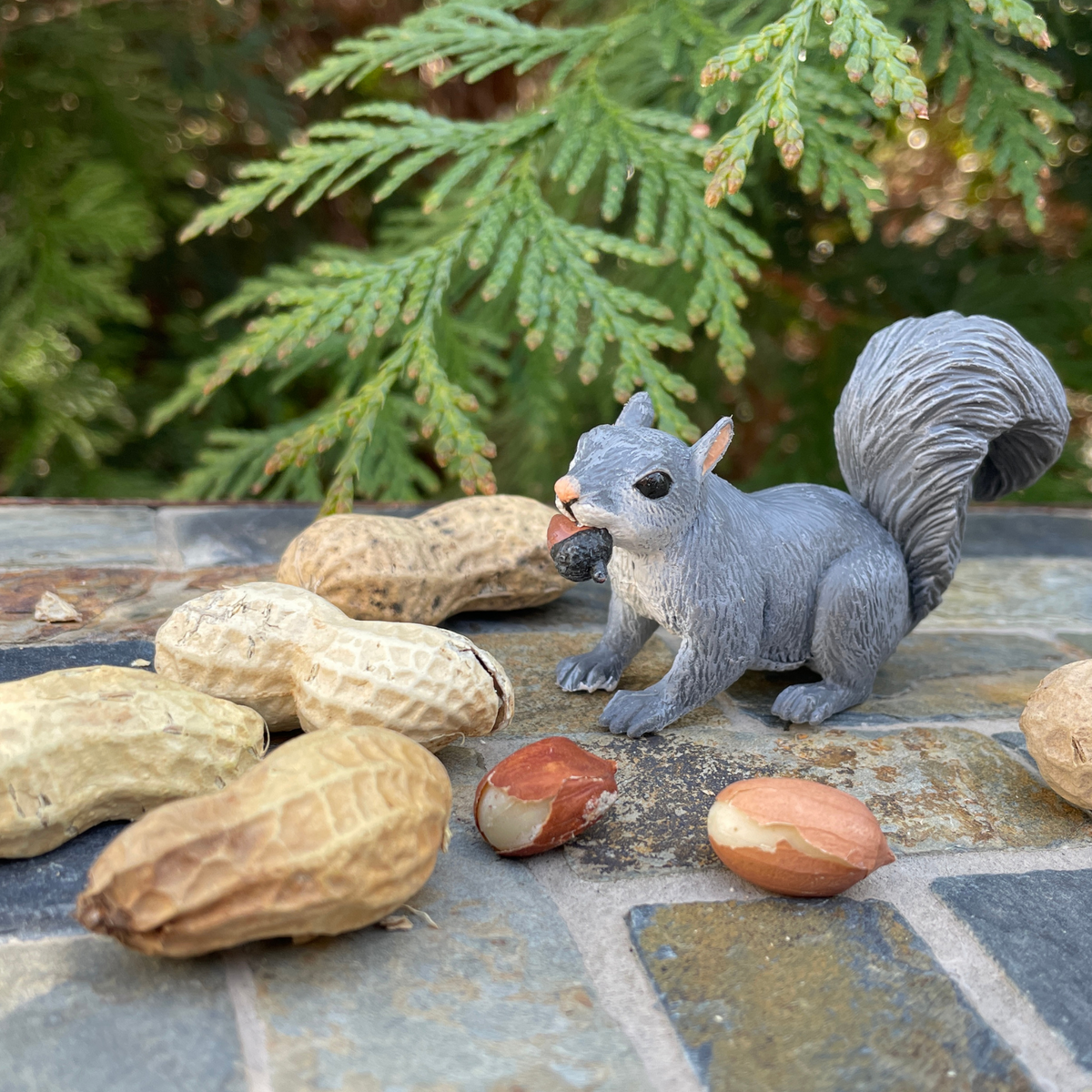 Gray Squirrel Figure – Realistic Animal Toy for Kids, Boys and Girls ...