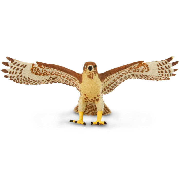 Red-Tailed Hawk Toy – Realistic Bird of Prey | Safari Ltd® | Safari Ltd®
