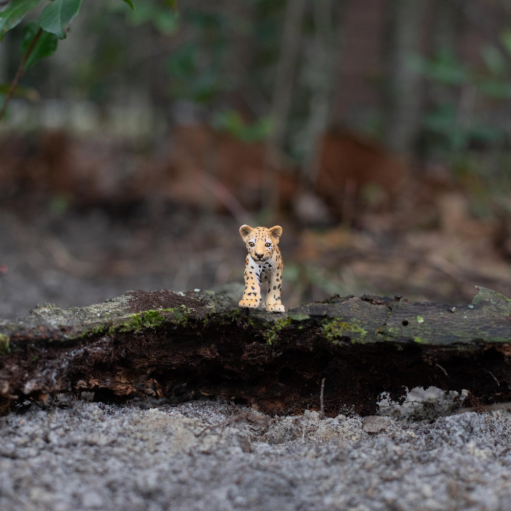 Leopard Cub Toy | Wildlife Animal Toys | Safari Ltd. | Safari Ltd®
