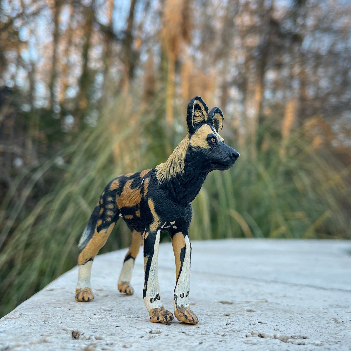 African Wild Dog Toy – Realistic PVC Animal Figure for Boys, Girls ...