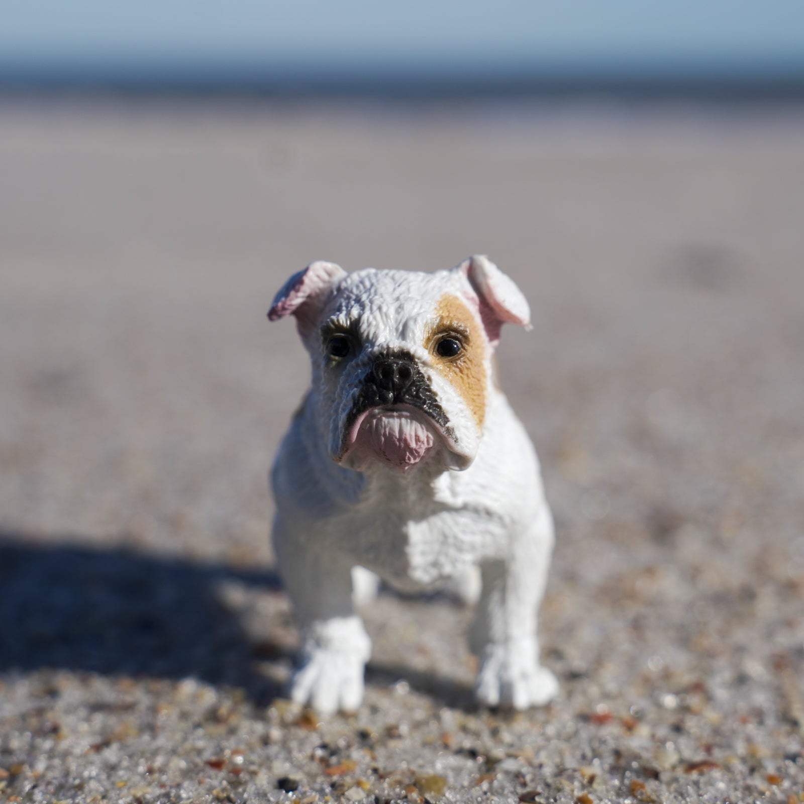 Bulldog Toy, Bulldog Figurines | Safari Ltd®