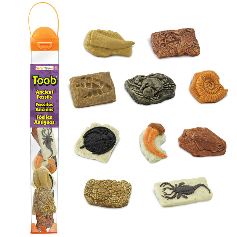Ancient Fossils TOOB® | Safari Ltd®