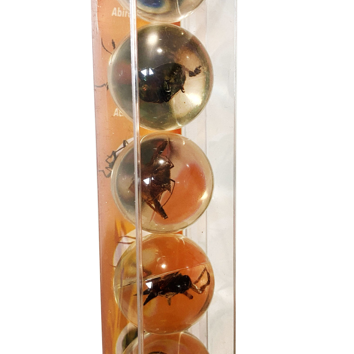 Safari Ltd Geoworld Bug Marbles | Safari Ltd®