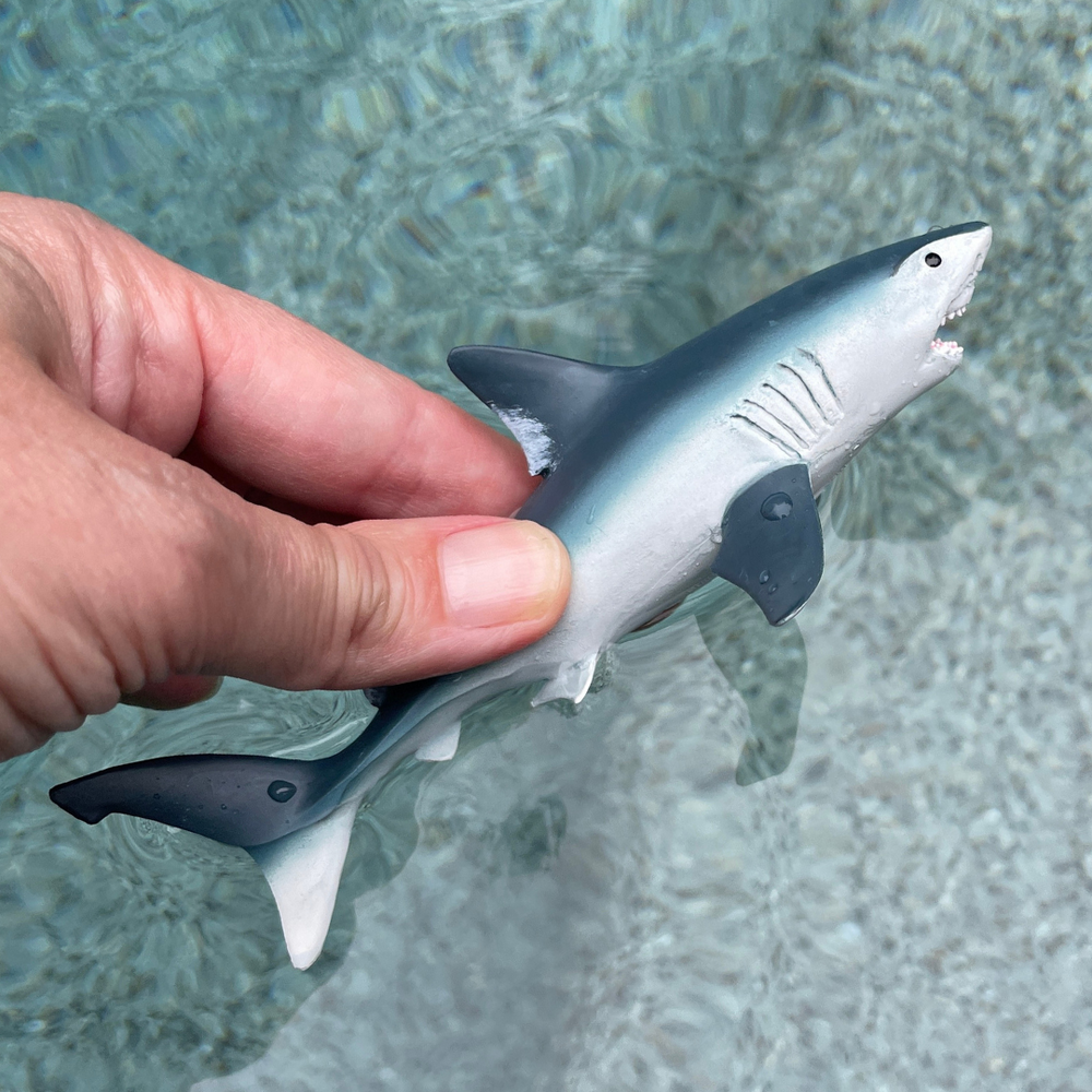 Porbeagle Shark Sea Life Toy Figure | Safari Ltd®