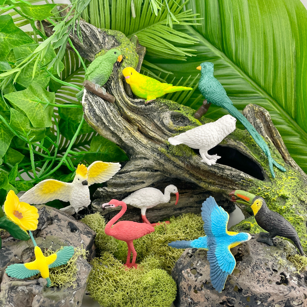 Exotic Birds TOOB® Figurines | Safari Ltd® Bird Toy Set | Safari Ltd®