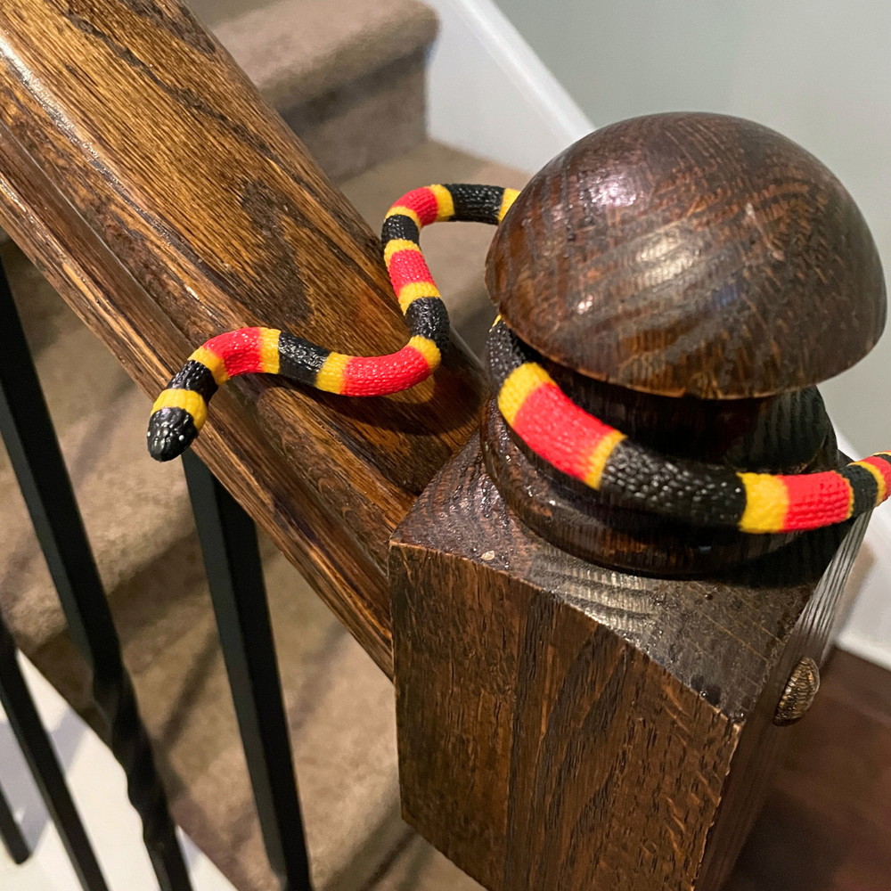 Coral Snake Baby Reptile Toy | Safari Ltd® | Safari Ltd®