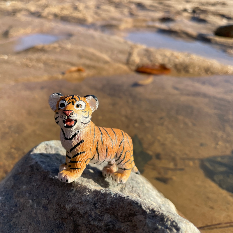 Bengal Tiger Cub Toy | Safari Ltd®