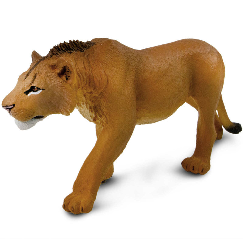 Adolescent Male Lion Toy Figure | Safari Ltd®