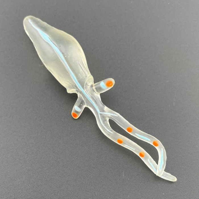 Deep Sea Creature Toys TOOB® | Safari Ltd®