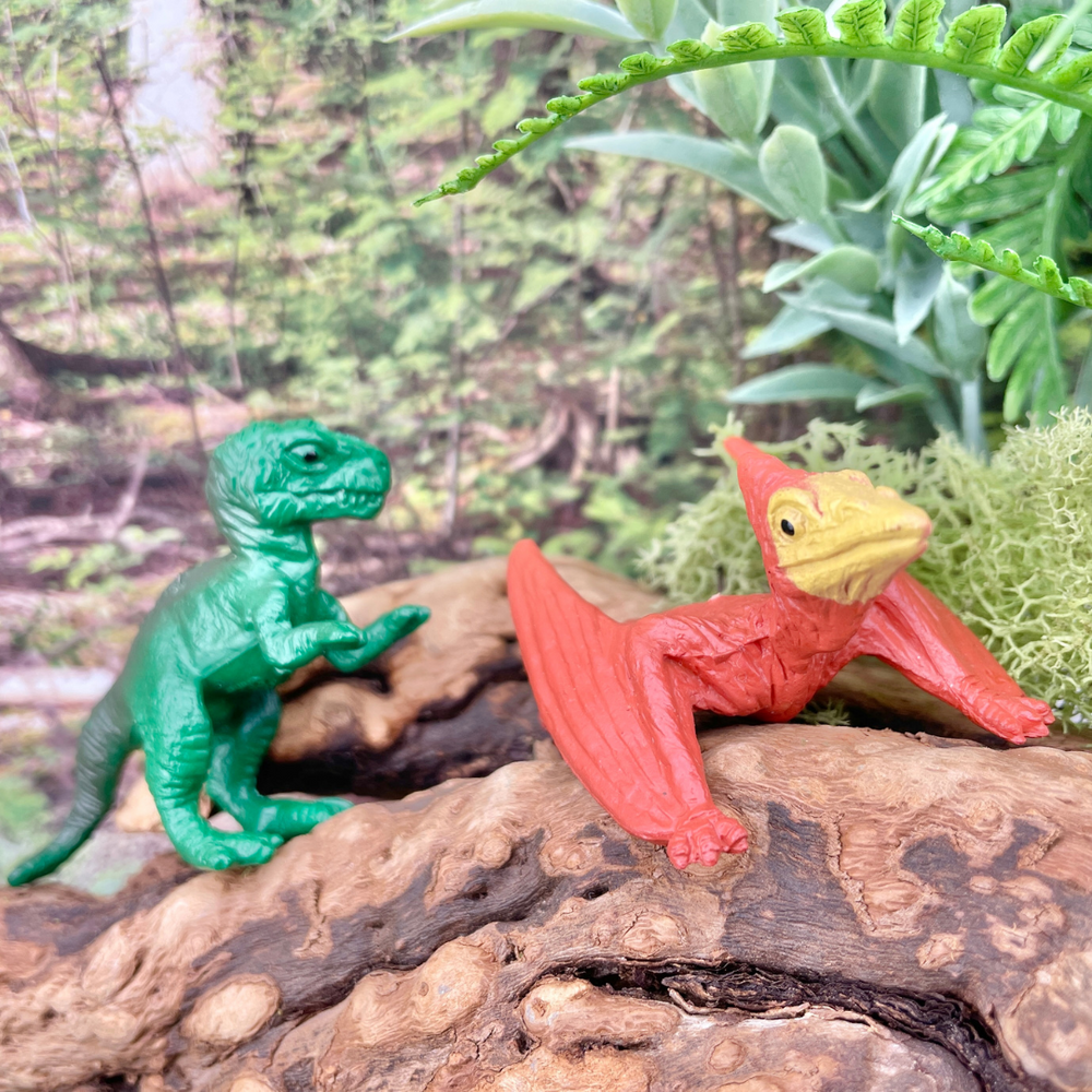 Dino Babies TOOB® – Mini Dinosaur Figures | Safari Ltd® | Safari Ltd®