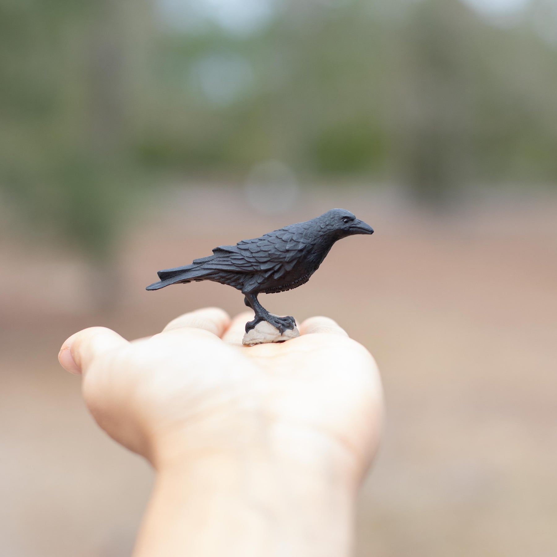 Raven Toy | Safari Ltd®