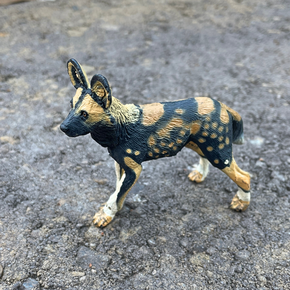 African Wild Dog Toy – Realistic PVC Animal Figure for Boys, Girls ...