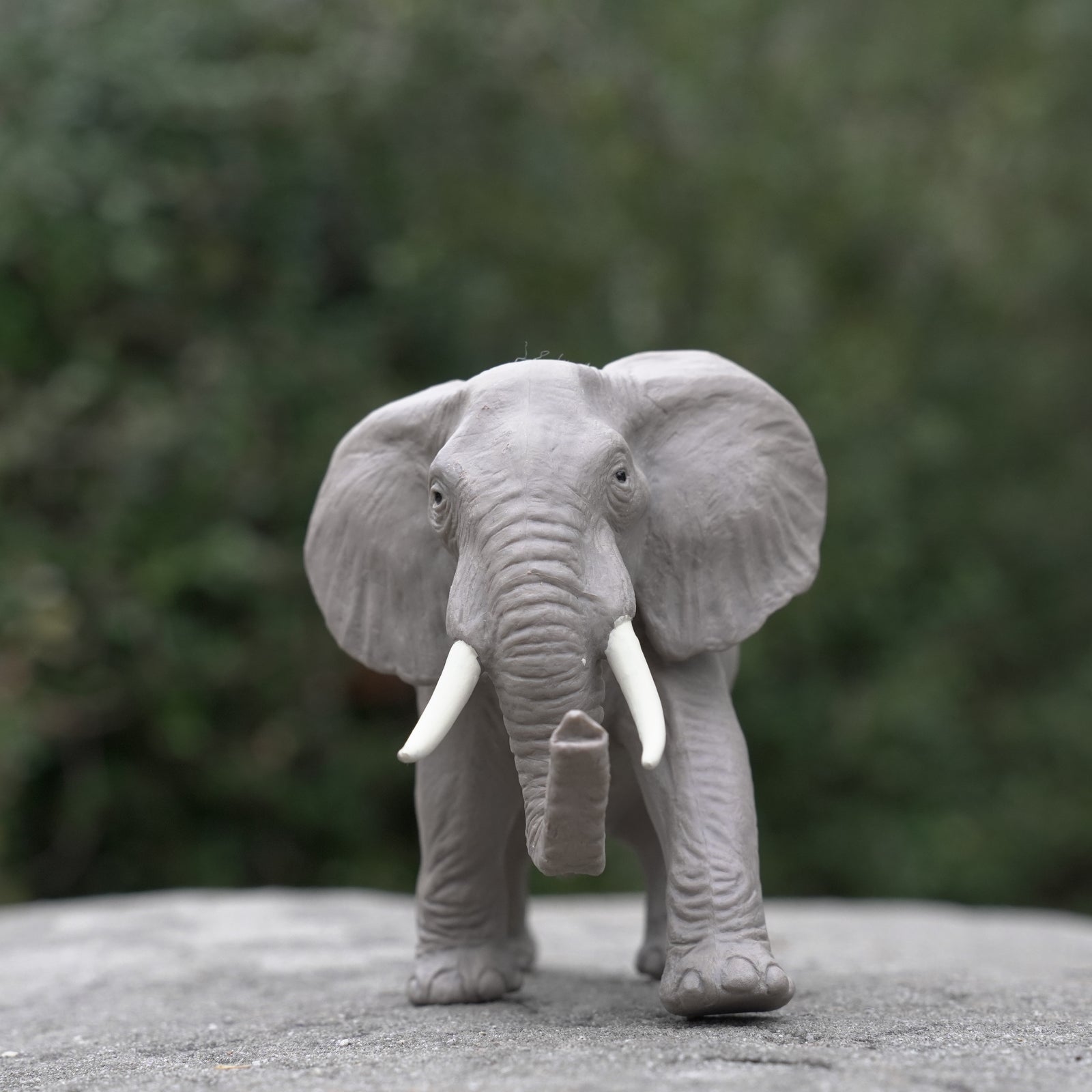 African Elephant Toy – Realistic Elephant Figurine | Safari Ltd ...
