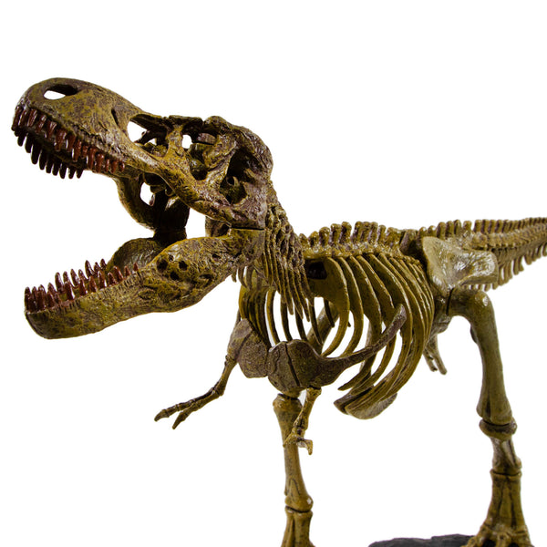 Dr. Steve Hunters GEOWorld Paleo Expedition Tyrannosaurus Rex Replica ...
